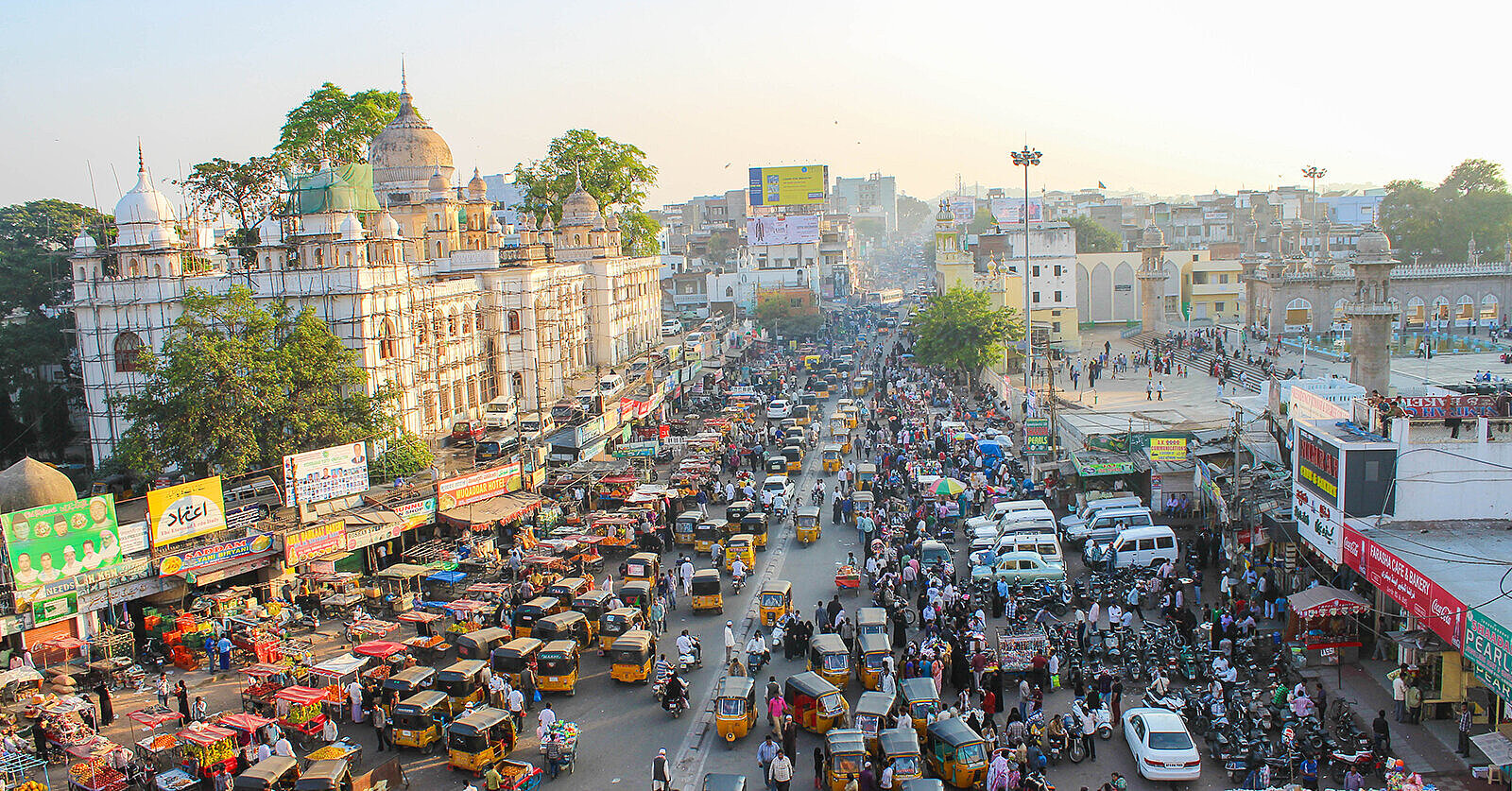 Towards Decarbonising Transport 2023